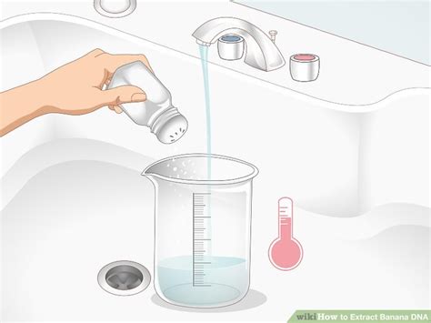 Easy Ways To Extract Banana DNA Steps With Pictures