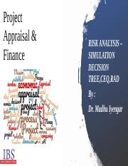 Risk Analysis Simulation Decision Tree Rad Ceq Pptx Project Appraisal
