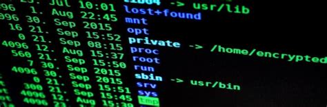 De 10 Mest Brugte Linux Kommandoer