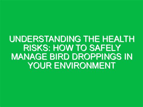 Understanding The Health Risks How To Safely Manage Bird Droppings In