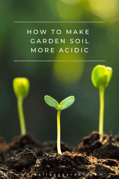 Making Soil More Acidic Organically Kellogg Garden Organics