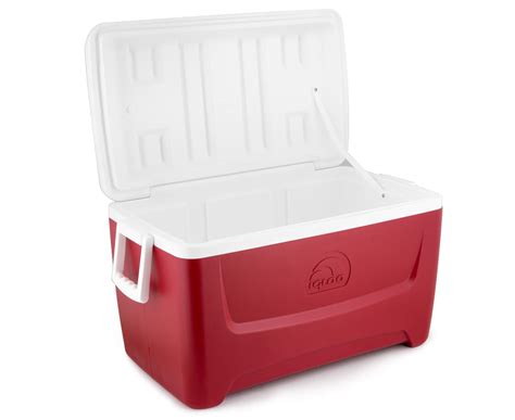 Chilly Bin Igloo At Sara Gardner Blog