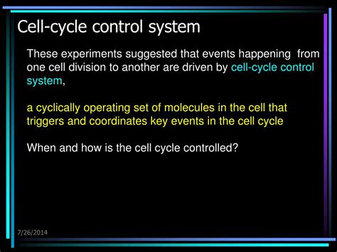 PPT The Cell Cycle Control PowerPoint Presentation Free Download ID