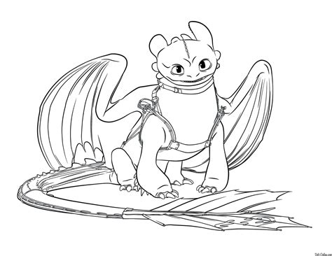 Print How To Train Your Dragon Coloring Page Download Print Or Color