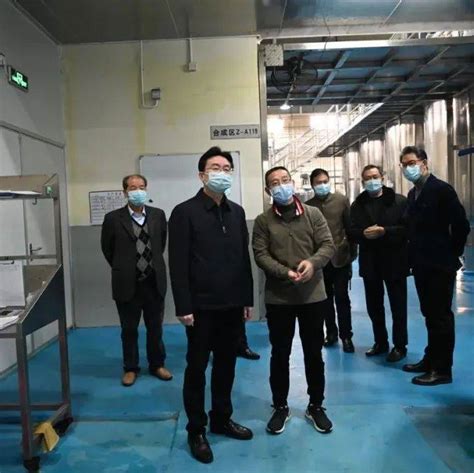 市政协党组书记、主席张元醒深入基层政协调研并走访委员企业发展开平工作