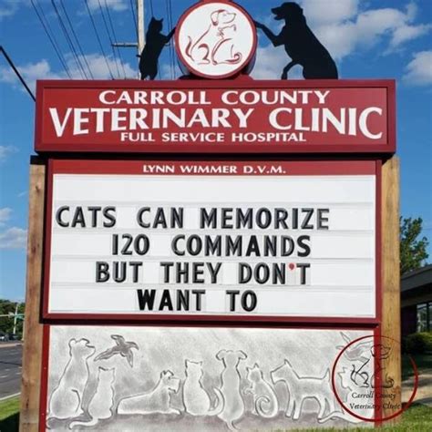 The Carroll County Veterinary Clinic Signs 30 Pics