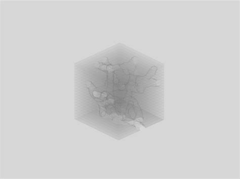 Concept Swarm Intelligence Slime Mold Behance