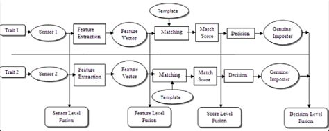 Fusion Levels In Multimodal Biometric System Download Scientific Diagram