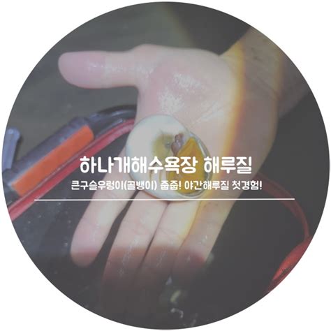 하나개해수욕장 해루질 야간해루질 후기 큰구슬우렁이 골뱅이 줍줍 네이버 블로그