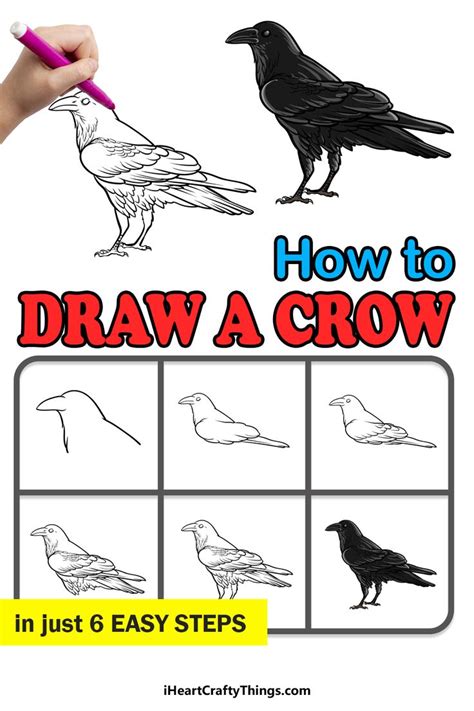 How To Draw A Crow A Step By Step Guide Crows Drawing Cute Easy