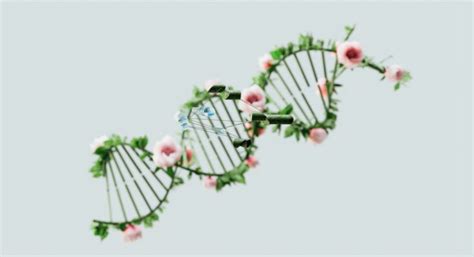 Gene Synthesis Market 2023 Market Size Share Analysis Demand And