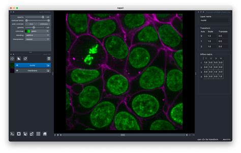 plugin to set scale in napari page 2 development image sc forum