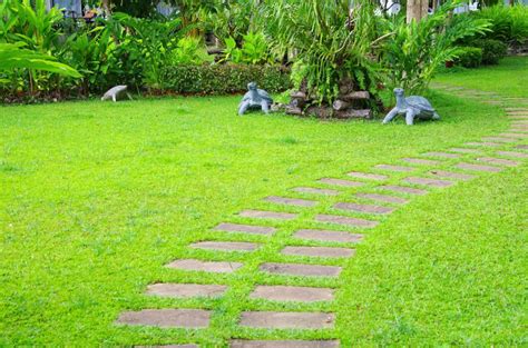 How To Cut Long Grass 25 Things You Should Know Garden Tool Expert