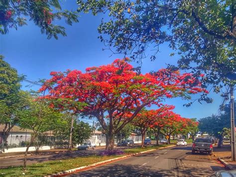 Frente fria avança e muda o tempo no Paraná diz Simepar veja os