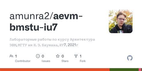 Github Amunra Aevm Bmstu Iu