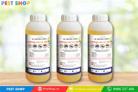 Top 9 Thuốc Diệt Rệp Giường Hiệu Quả Và An Toàn Tại Nhà