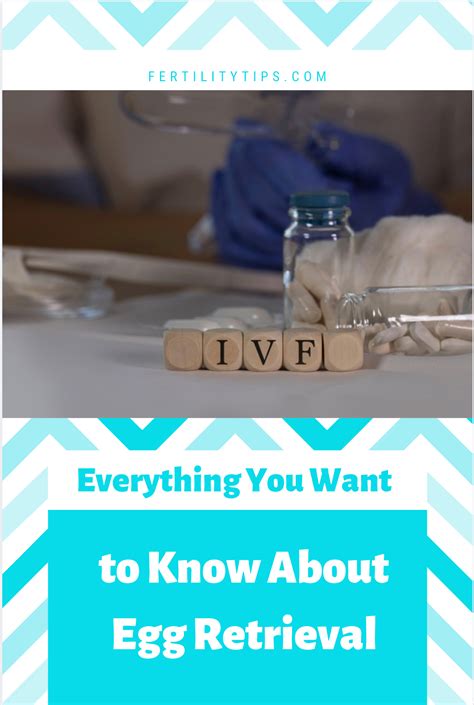 Everything You Want To Know About Egg Retrieval Artofit