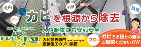 おすすめのカビ取り業者10選！除去・防止の費用相場や選び方など解説！