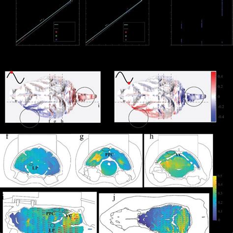 Transcranial Alternating Current Stimulation Engages Cortical Alpha