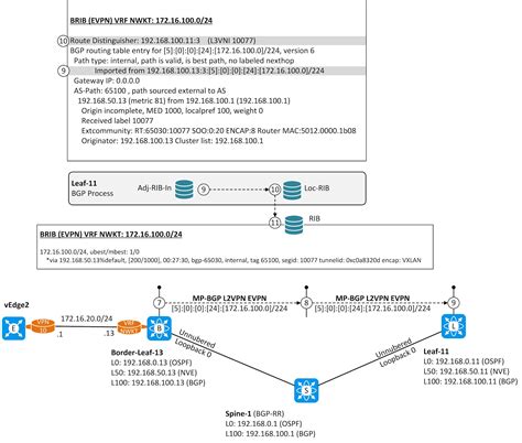 The Network Times Lisp Omp Bgp Evpn Interoperability Part Iv
