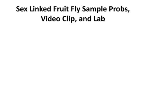 PPT Sex Linked Genes PowerPoint Presentation Free Download ID 4609427