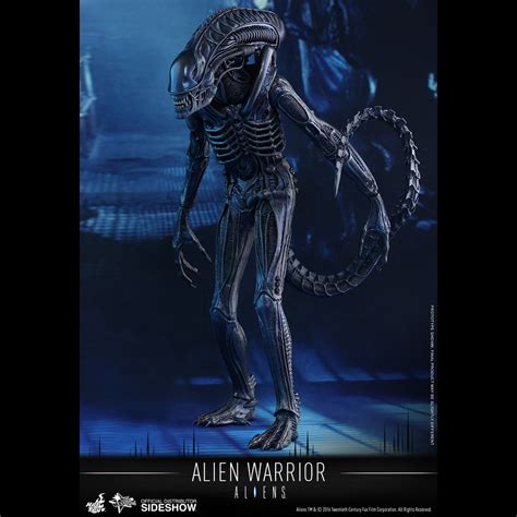 Alien Warrior Sixth Scale Figure Geekalerts