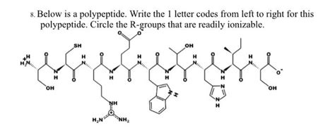 Solved 8 Below Is A Polypeptide Write The 1 Letter Codes