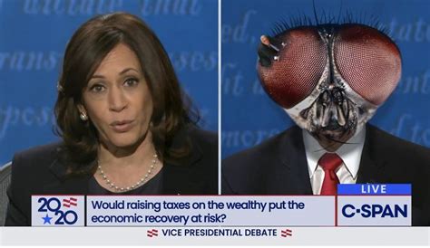 47 Memes That Wouldnt Exist If The Fly Didnt Land On Mike Pences