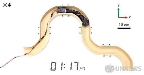 로봇을 위한 근육인간의 근육과 유사한 새로운 유형의 로봇 근육이 개발되었습니다 Unnews 유엔뉴스 유엔신문