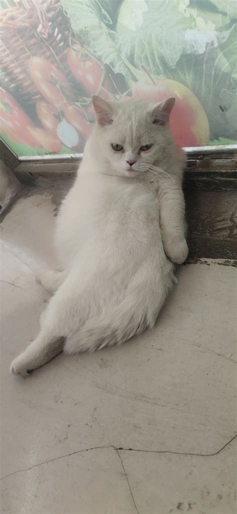 奇行种！ Nga玩家社区