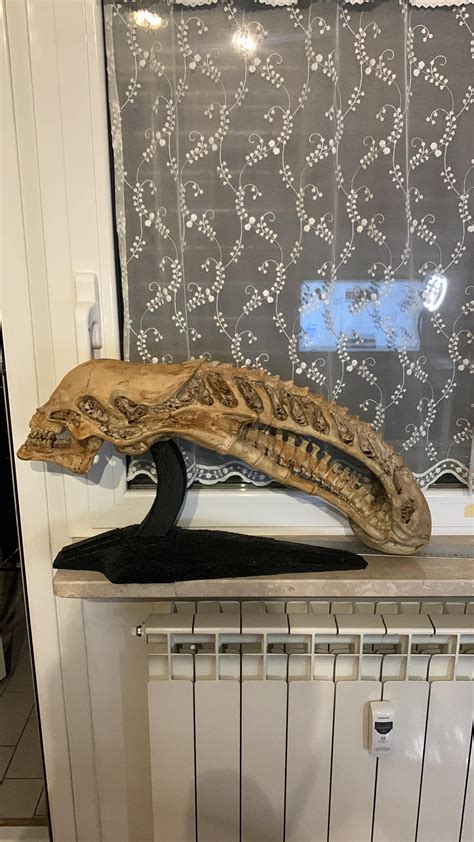 Xenomorph Skull Replica