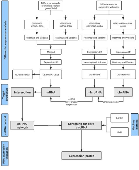 Table 1 From Identification Of A Circrna Mediated Comprehensive Cerna Network In Spinal Cord