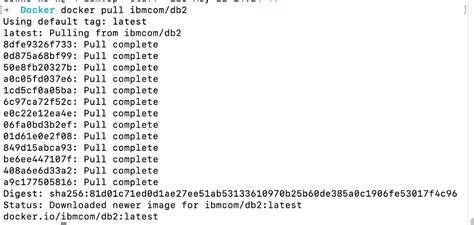 Install A Containerized Db2 Database With Docker And Do The Setup By