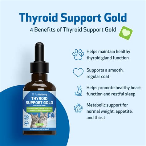 Thyroid Support Gold Supports Healthy Thyroid Gland Function In Cats