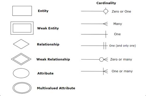 Er Diagram Connection Types Er Mapping Examples