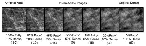 An Example Of The Test Stimulus Array Formed By Different Weighted Download Scientific Diagram