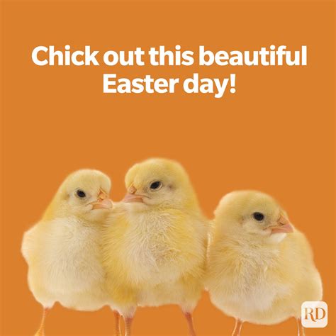 80 Funny Easter Puns Guaranteed To Get A Laugh In 2022