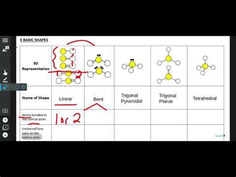 What Is The Difference Between Linear And Bent