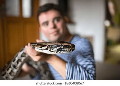 25 Disability And Snake Stock Photos Images Photography Shutterstock
