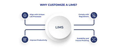 Customizing Lims System For Your Labs Unique Workflow