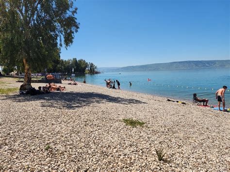 Panet شواطئ بحيرة طبريا جاهزة لاستقبال الاف المستجمين خلال الفصح العبري