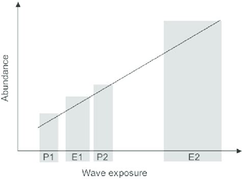 Hypothetical Relationship Between The Abundance Of An Intertidal Download Scientific Diagram
