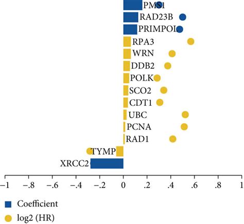 Construction Of Prognostic Gene Signature Using LASSO Regression
