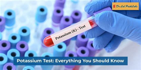 Potassium Test Dr Lal Pathlabs Blogs