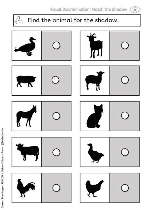 Teacch Farm File Folder Tasks For Special Education 29 Activies