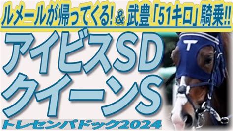 【アイビスsd】【クイーンs】トレセンパドック 日刊ゲンダイ競馬