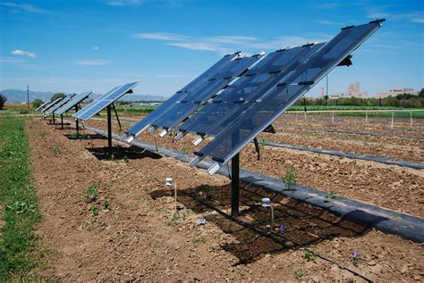 10 Frequently Asked Questions About Agrivoltaics Mt Solar