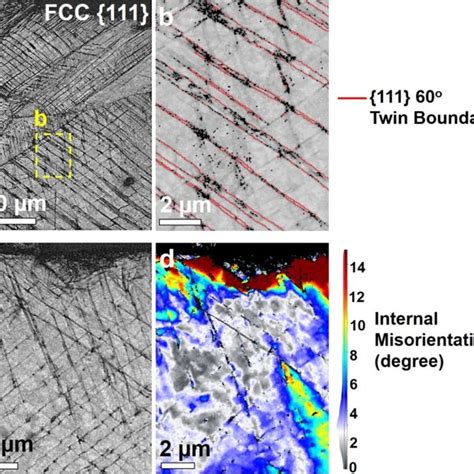 A Sem Band Contrast Image B Ebsd {111} Twin Boundary Mapping Of