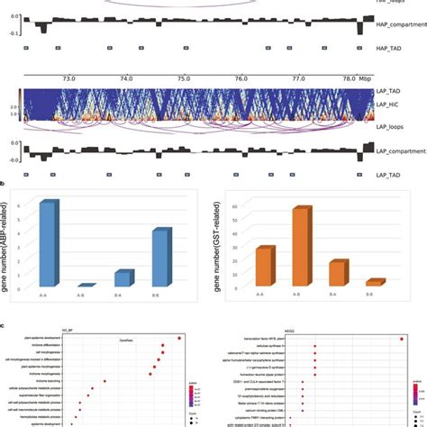 Hi C Contact Map And Chromatin Features A Hi C Interaction Within And Download Scientific
