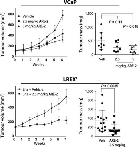 17 Mice Were Treated Subcutaneously Three Times Per Week With Are 2 In
